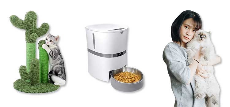 20+ cadeaux pour chats